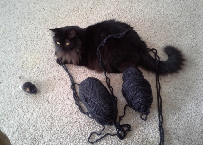 9 Katten die helemaal klaar zijn met breien - Ouderwets Breien